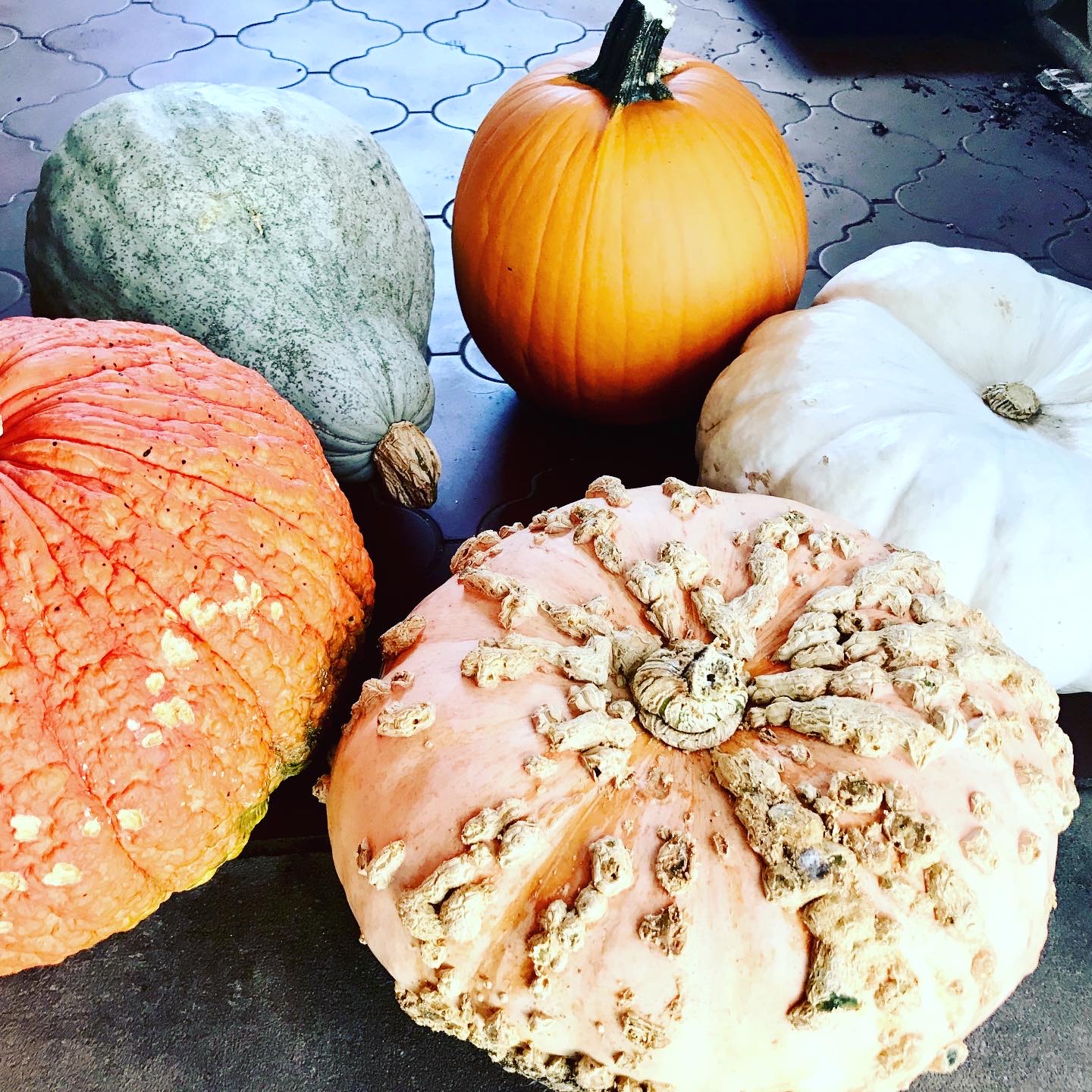 Outdoor Pumpkin Decor | Wildflower Ways